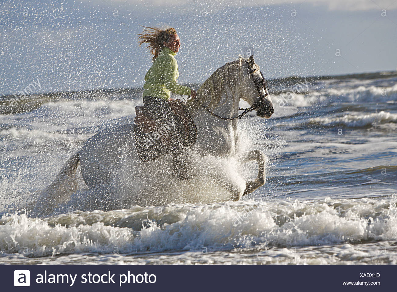 Woman Riding Horse Into Sea High Resolution Stock Photography and ...