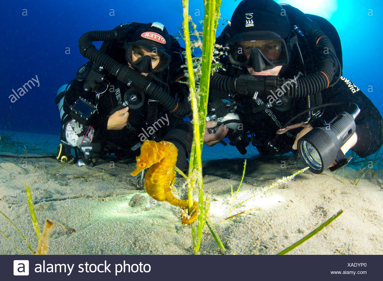 Rebreather Diving High Resolution Stock Photography and Images - Alamy