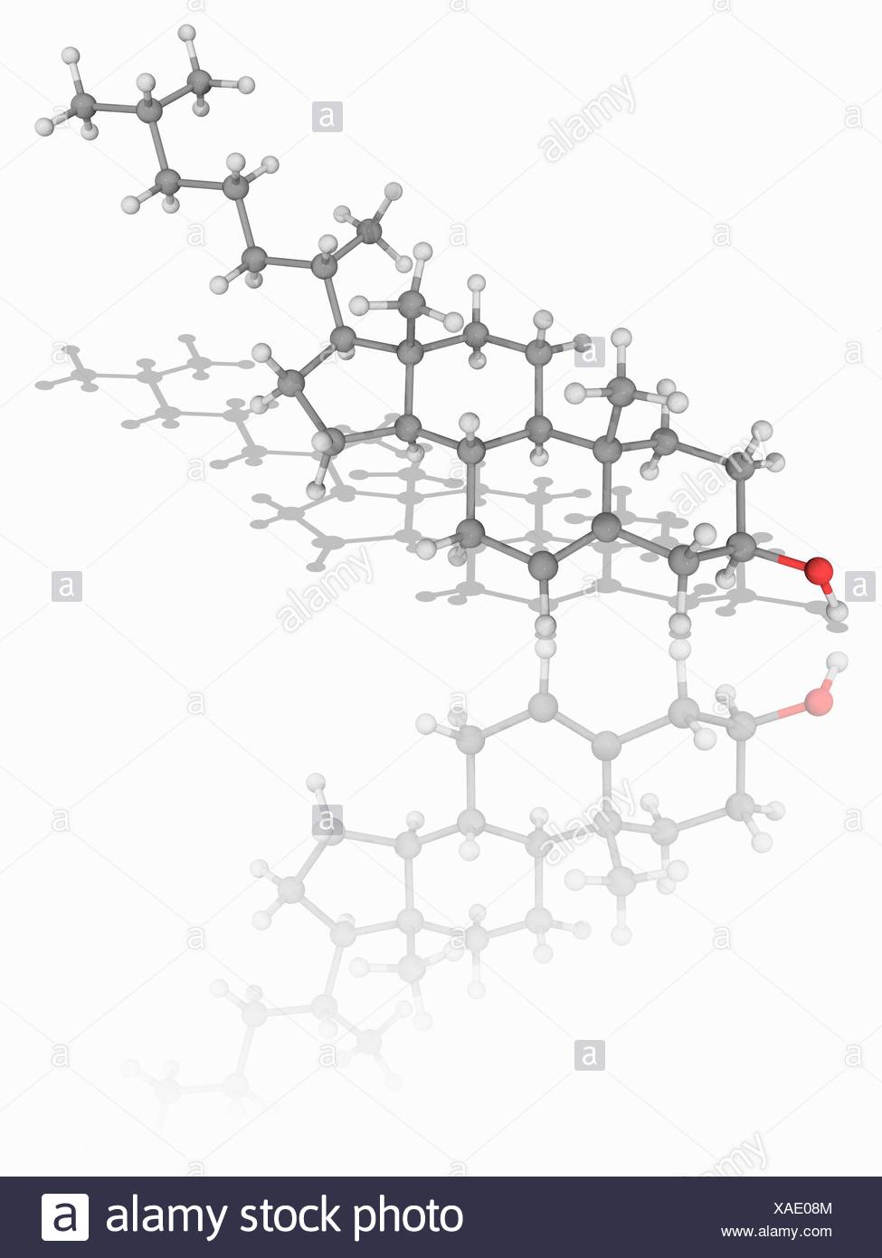 Cholesterol Molecular Structure High Resolution Stock Photography and ...