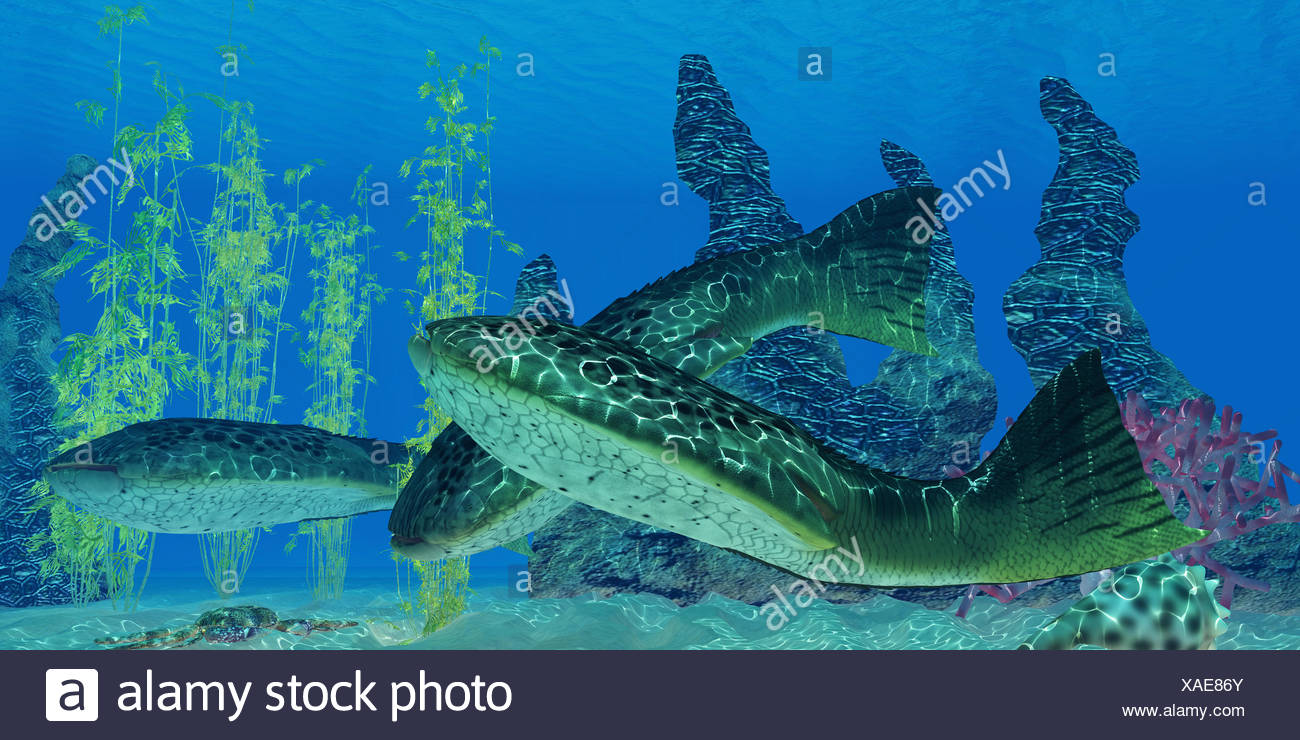 Devonian Fish Stock Photos & Devonian Fish Stock Images - Alamy