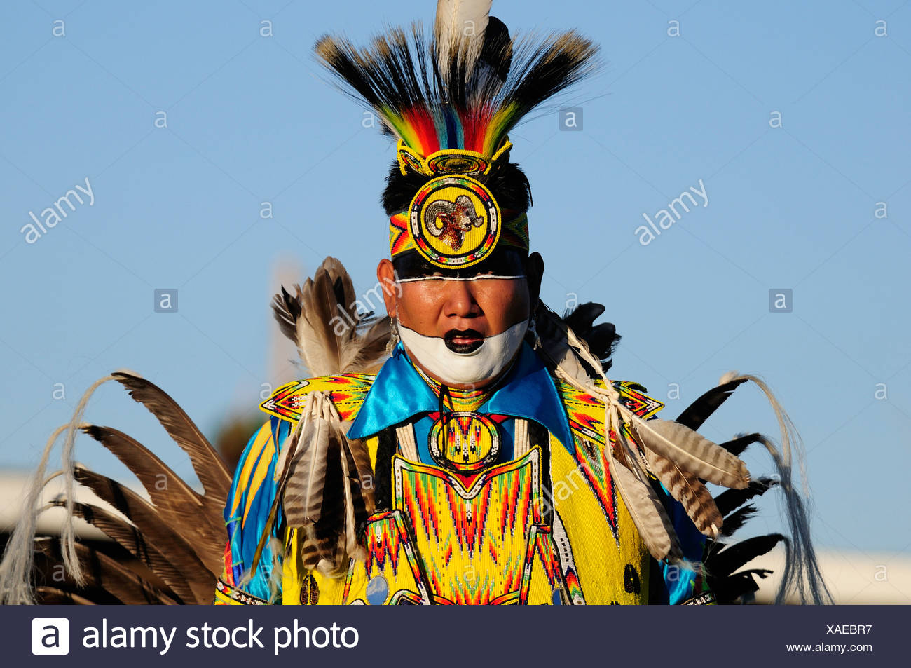 Crow Nation Stock Photos & Crow Nation Stock Images - Alamy