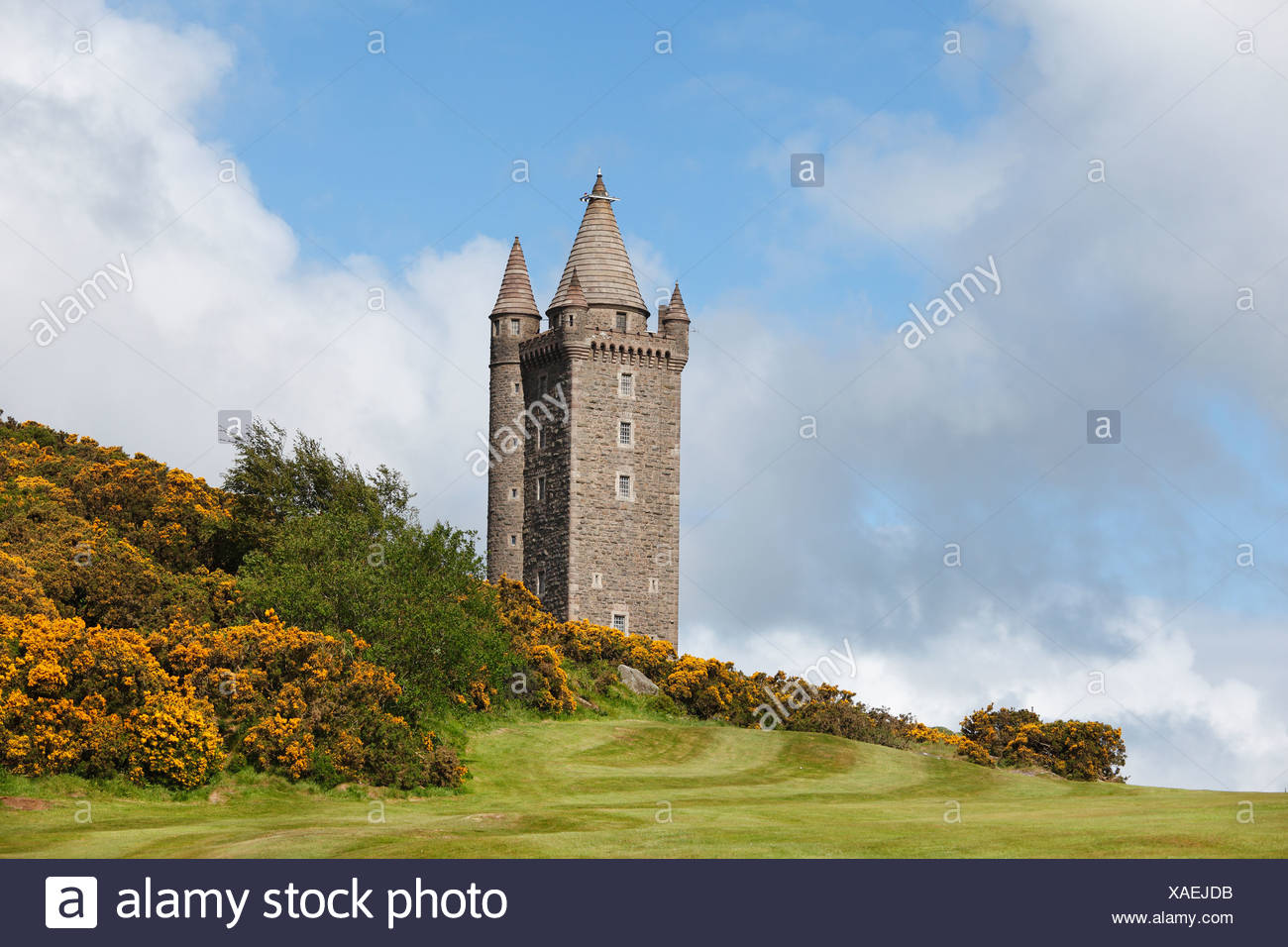 Scrabo Tower Stock Photos & Scrabo Tower Stock Images - Alamy