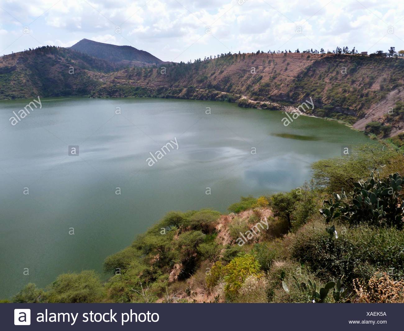 Debre Zeyit Stock Photos & Debre Zeyit Stock Images - Alamy