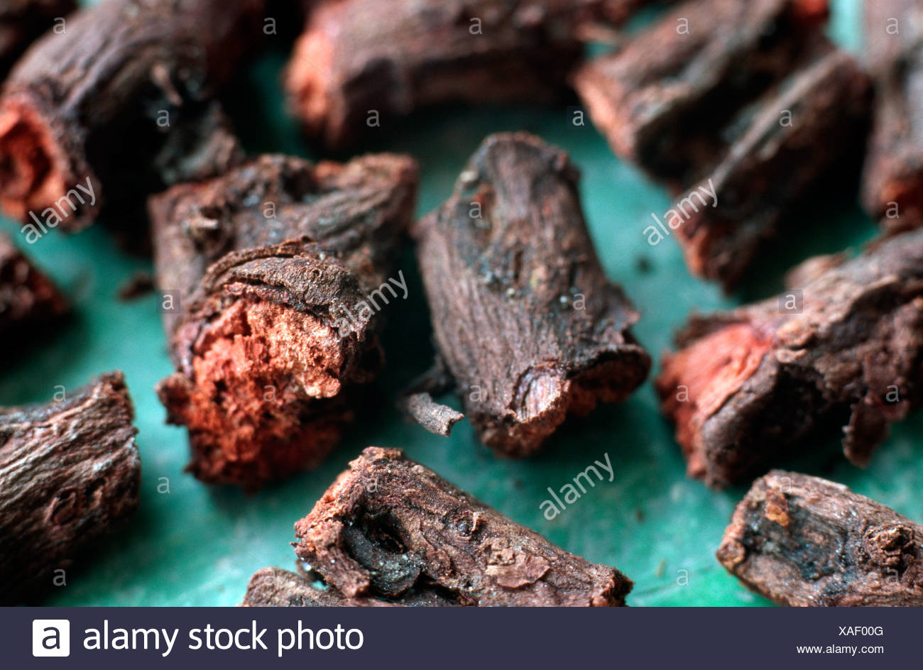 Rubia Tinctorum Stock Photos & Rubia Tinctorum Stock Images - Alamy