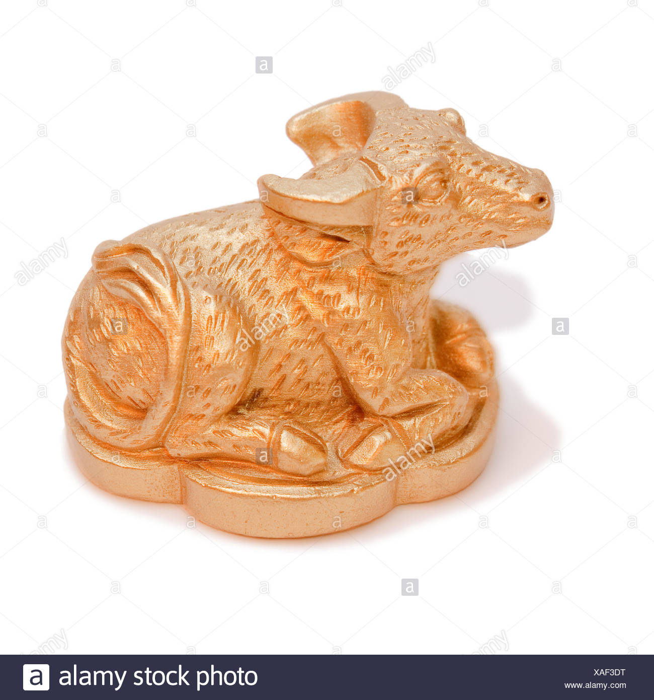 Golden Calf High Resolution Stock Photography and Images - Alamy