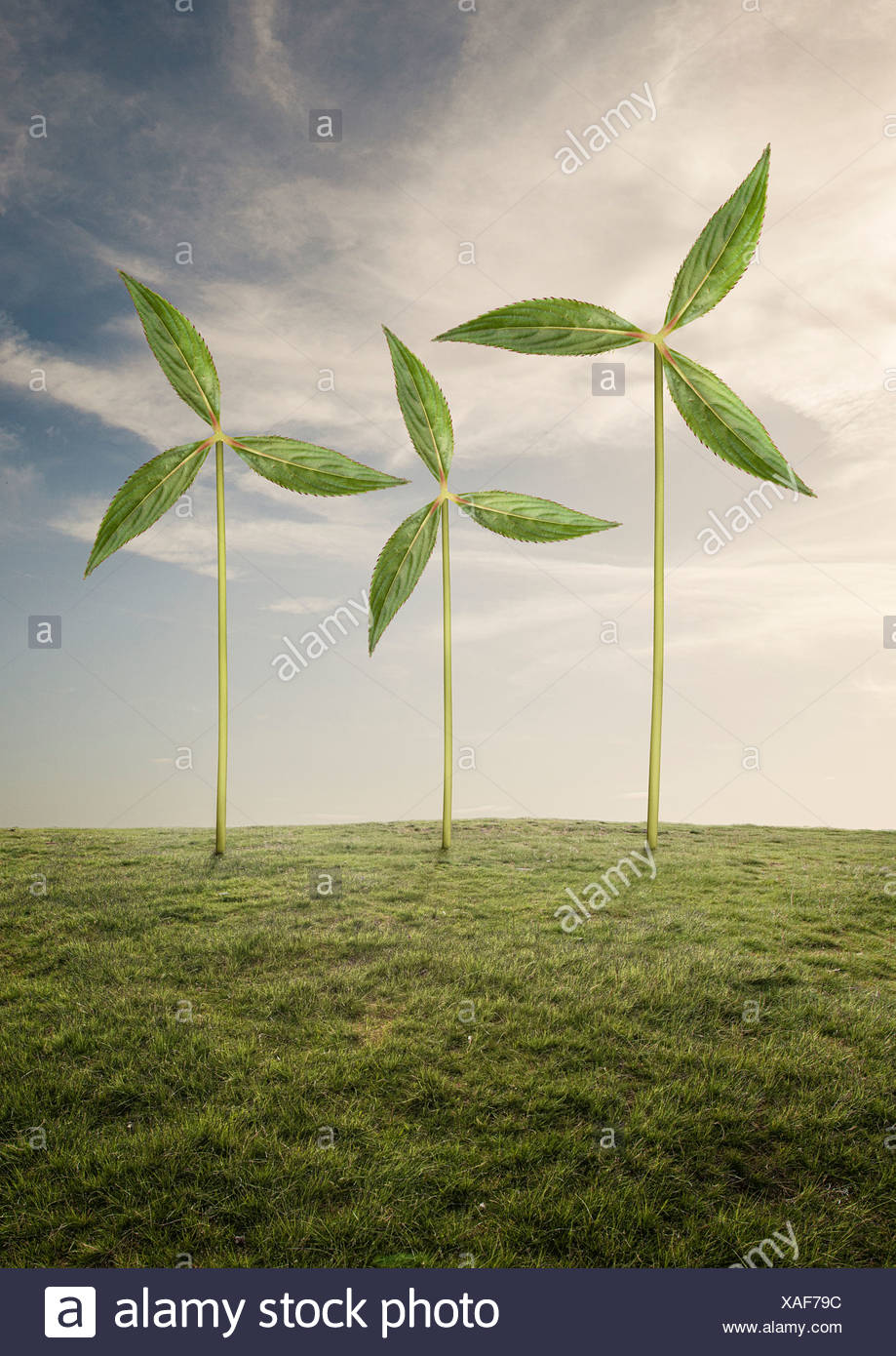 Small Wind Turbine High Resolution Stock Photography and Images - Alamy