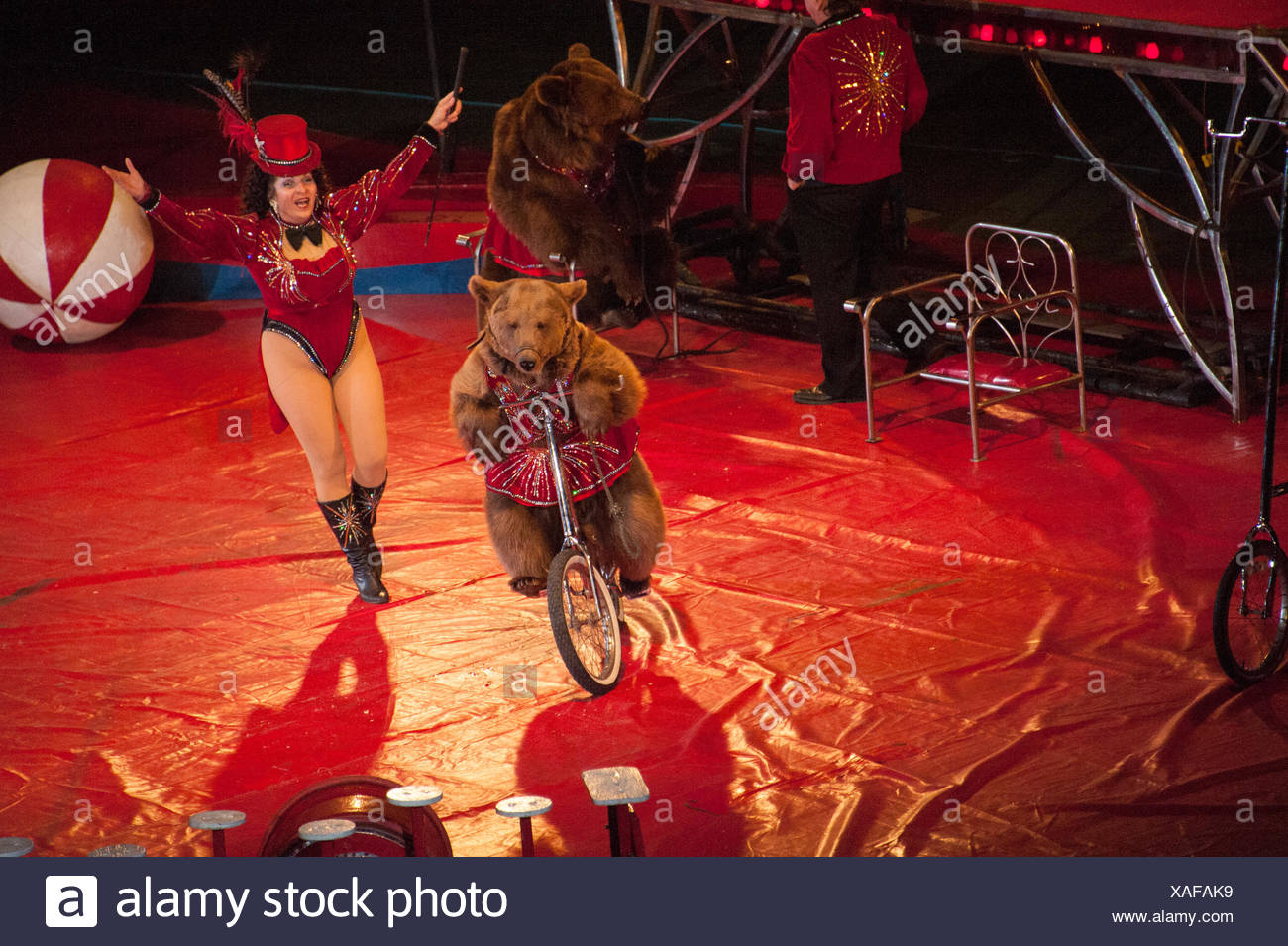 Animal Circus Costume Stock Photos & Animal Circus Costume Stock Images ...