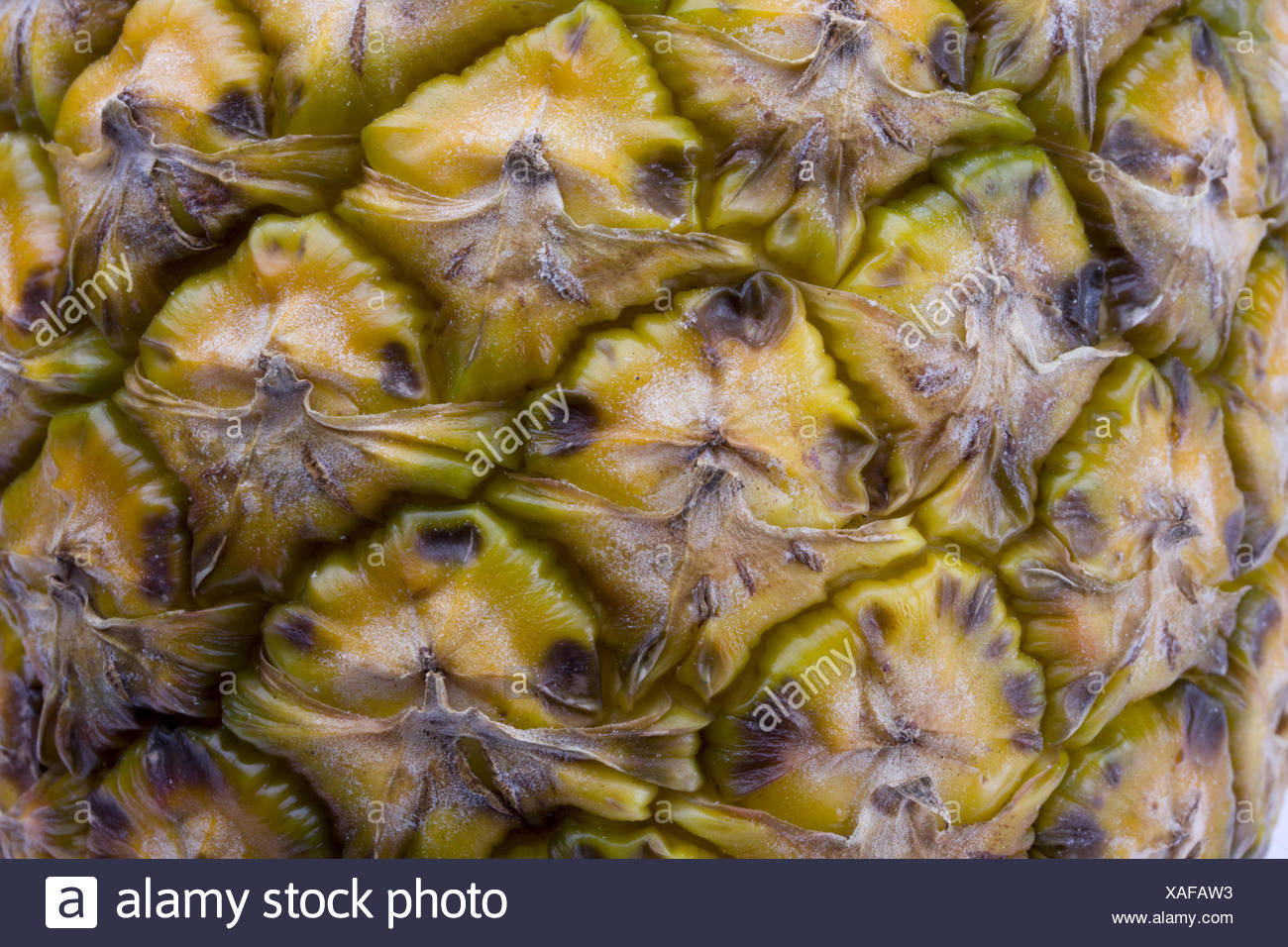 Close Up Pineapple Skin High Resolution Stock Photography and Images ...