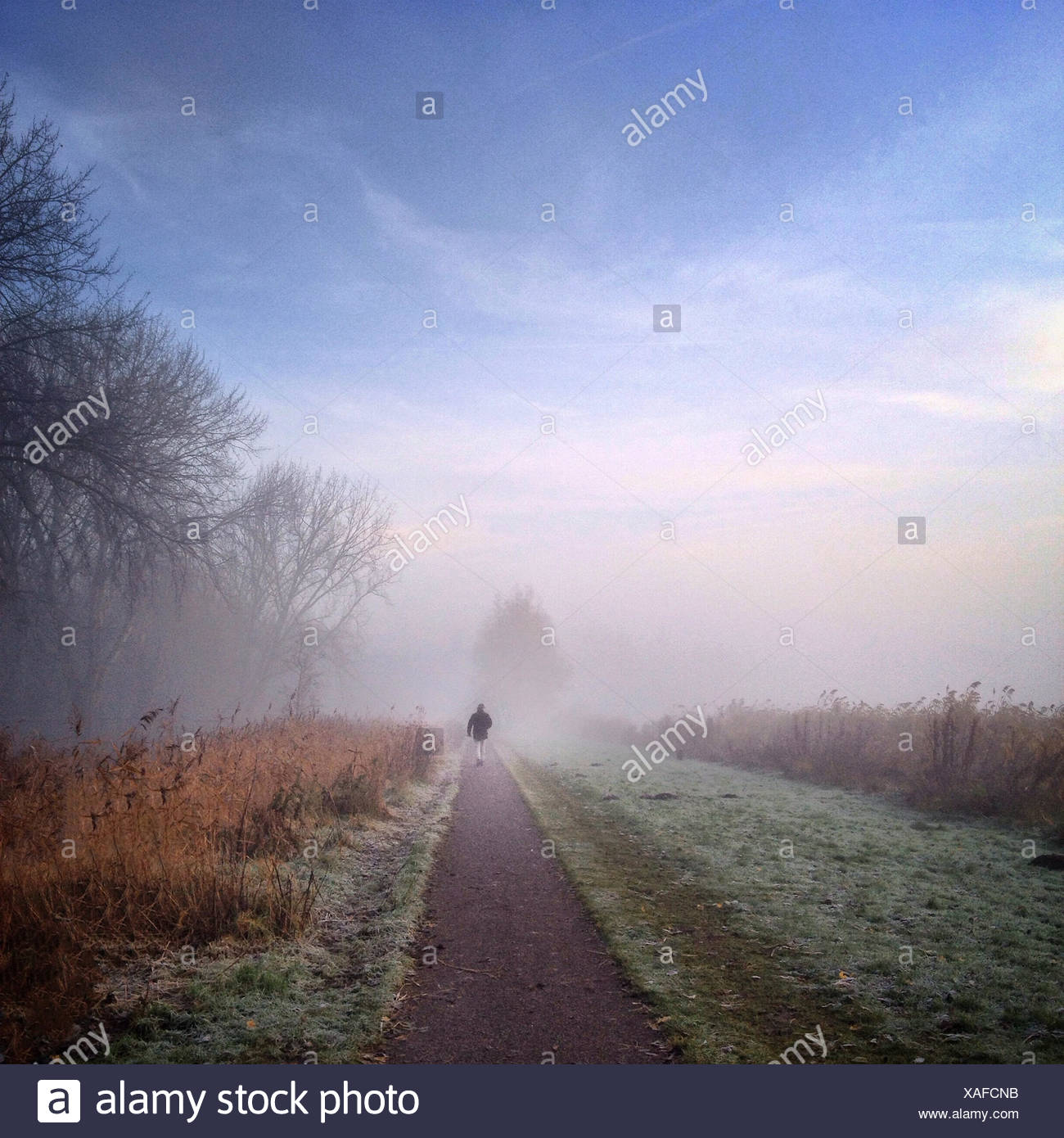 Misty Scene Stock Photos & Misty Scene Stock Images - Alamy
