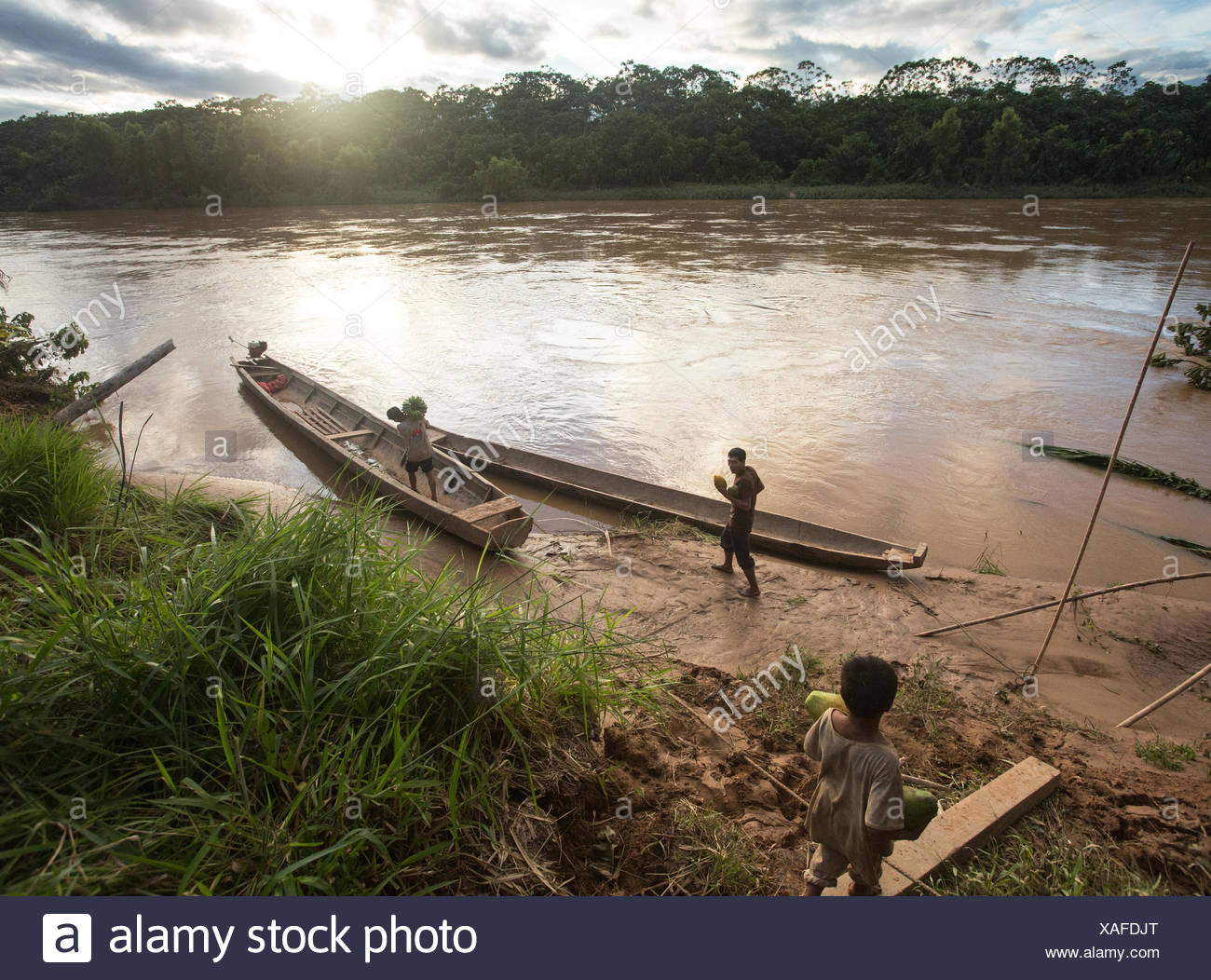 Rainforest River Stock Photos & Rainforest River Stock Images - Alamy