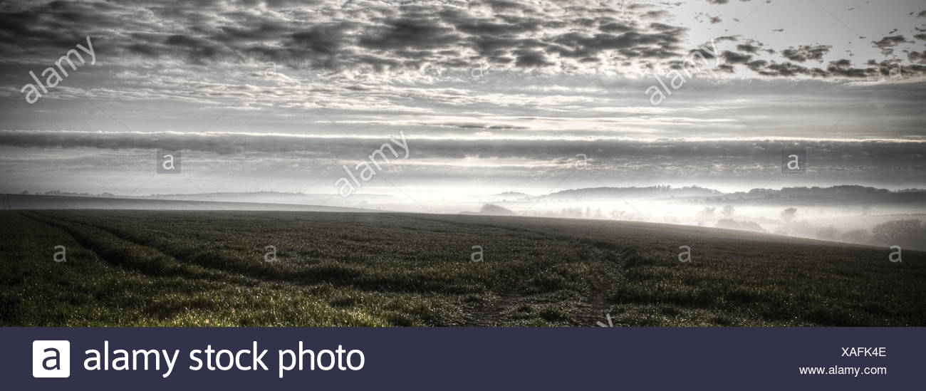 Expanse Of Grass High Resolution Stock Photography and Images - Alamy