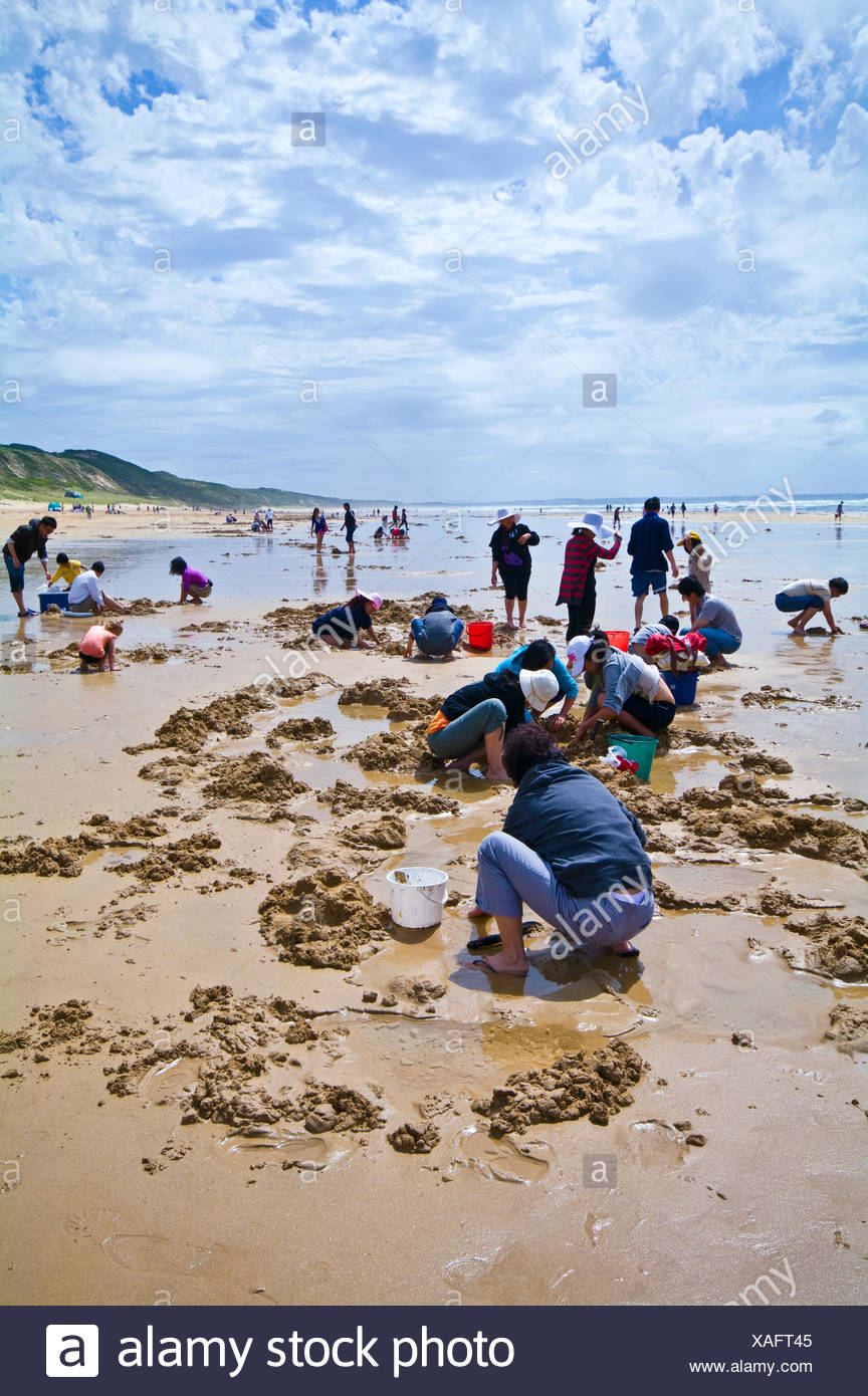 Pipi High Resolution Stock Photography and Images - Alamy