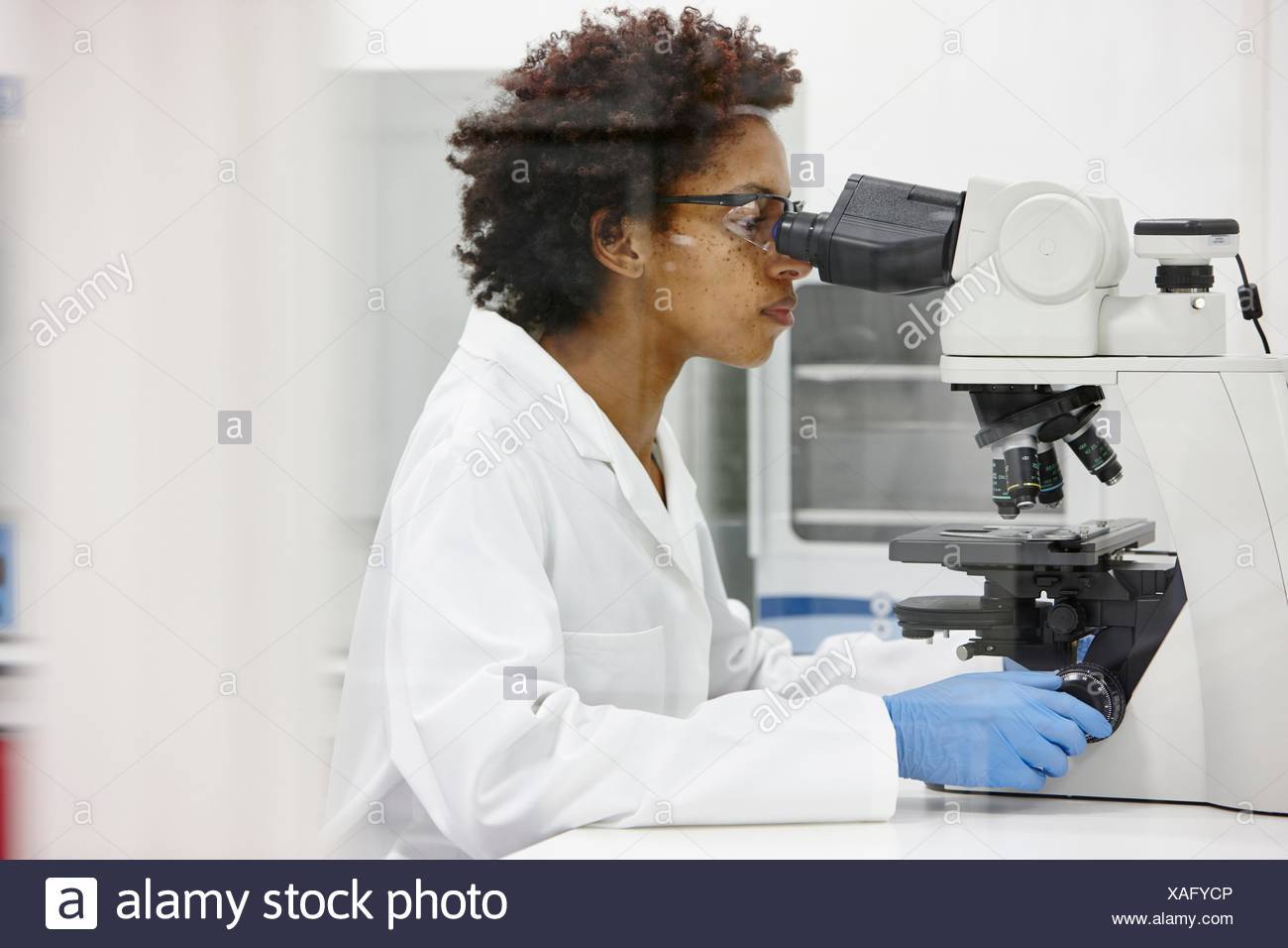 Using Microscope High Resolution Stock Photography and Images - Alamy