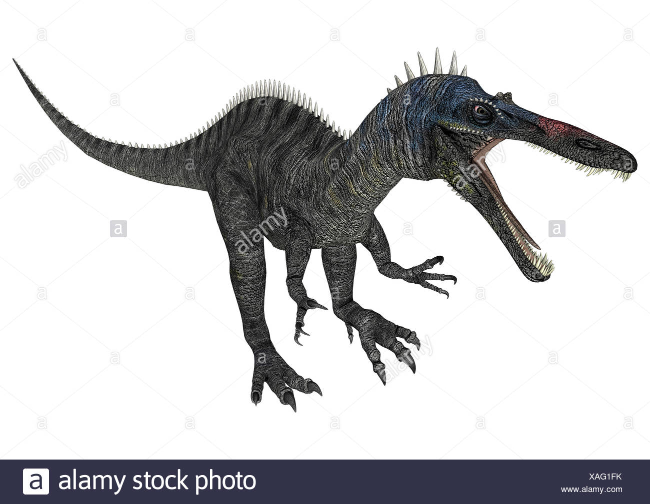 3d Digital Render Dinosaur Suchomimus High Resolution Stock Photography ...