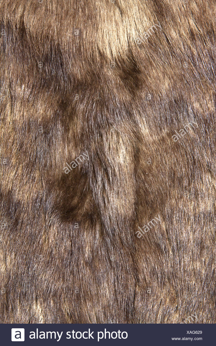 Black Fur Texture Stock Photos & Black Fur Texture Stock Images - Alamy