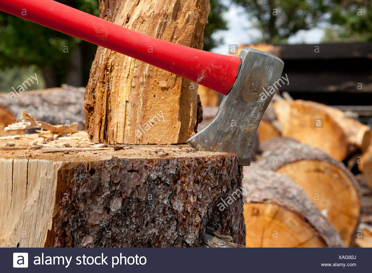 Tree Cutting Axe High Resolution Stock Photography and Images - Alamy