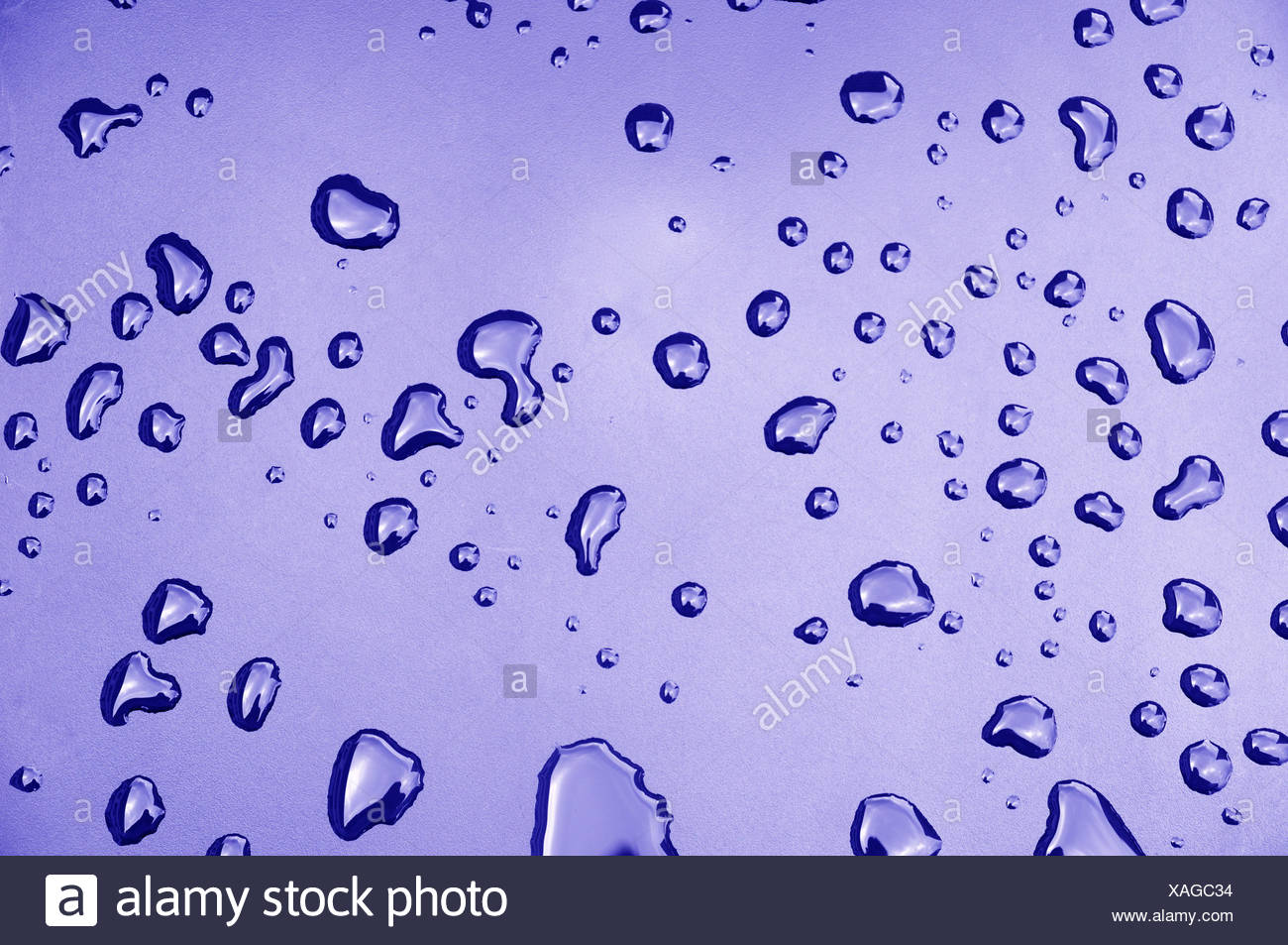 Hydrophob High Resolution Stock Photography and Images - Alamy
