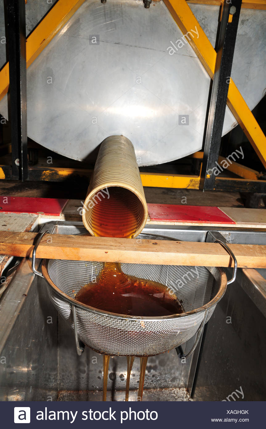 Honey Extraction Bees High Resolution Stock Photography and Images - Alamy