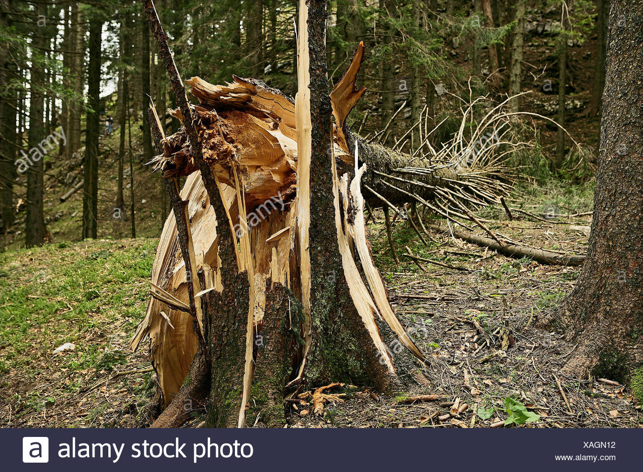 Glum High Resolution Stock Photography and Images - Alamy