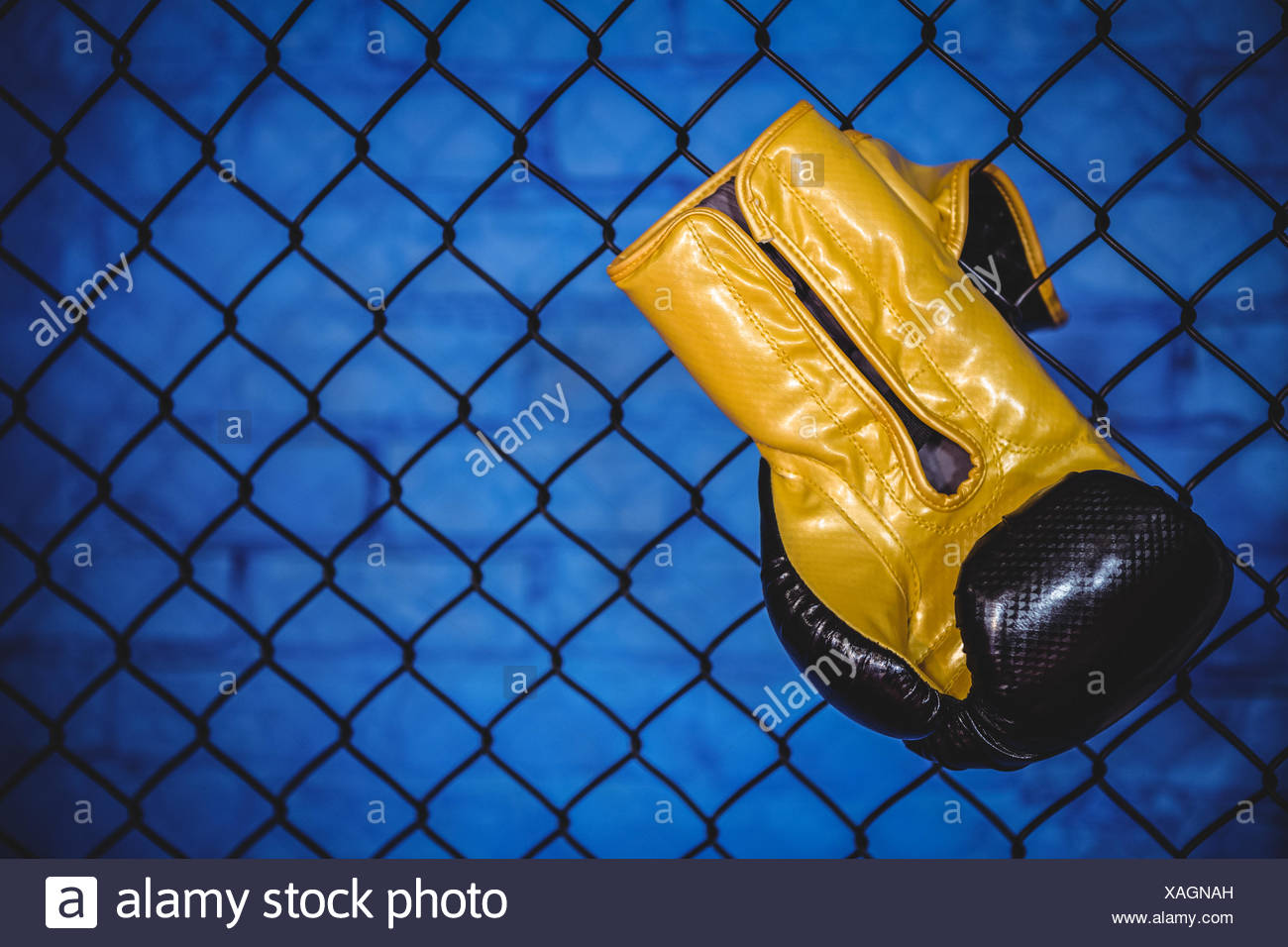 Boxing Glove Stock Photos & Boxing Glove Stock Images - Alamy