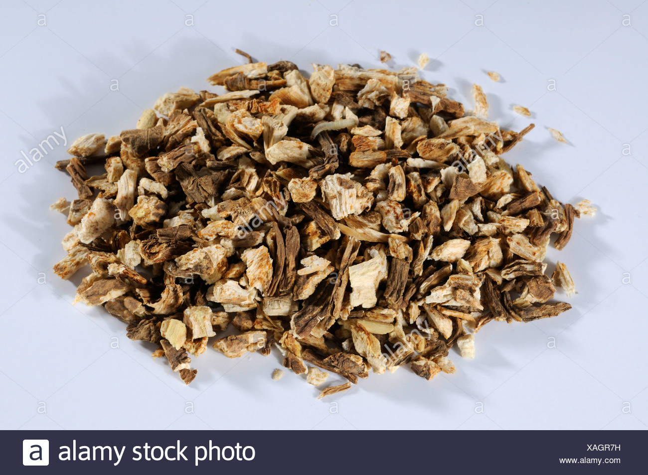 Lovage Root High Resolution Stock Photography and Images - Alamy