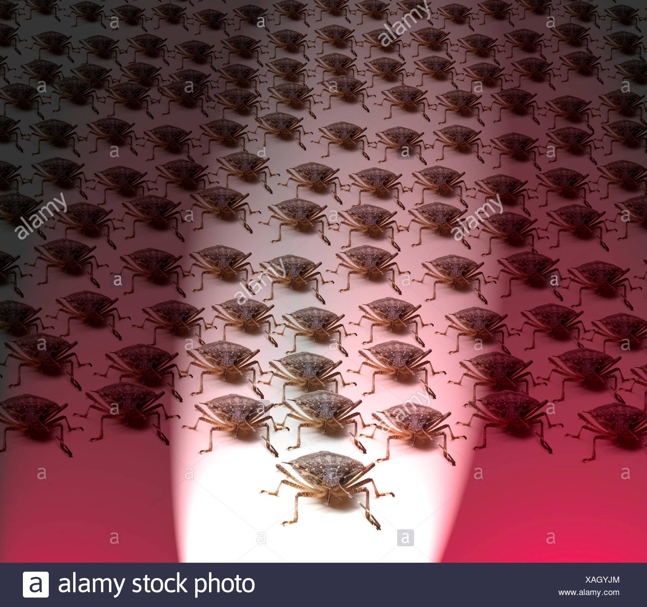 Army Body Armor High Resolution Stock Photography and Images - Alamy