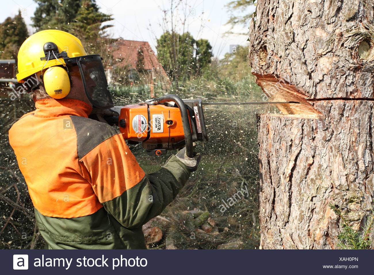 Man Cutting Tree High Resolution Stock Photography and Images - Alamy