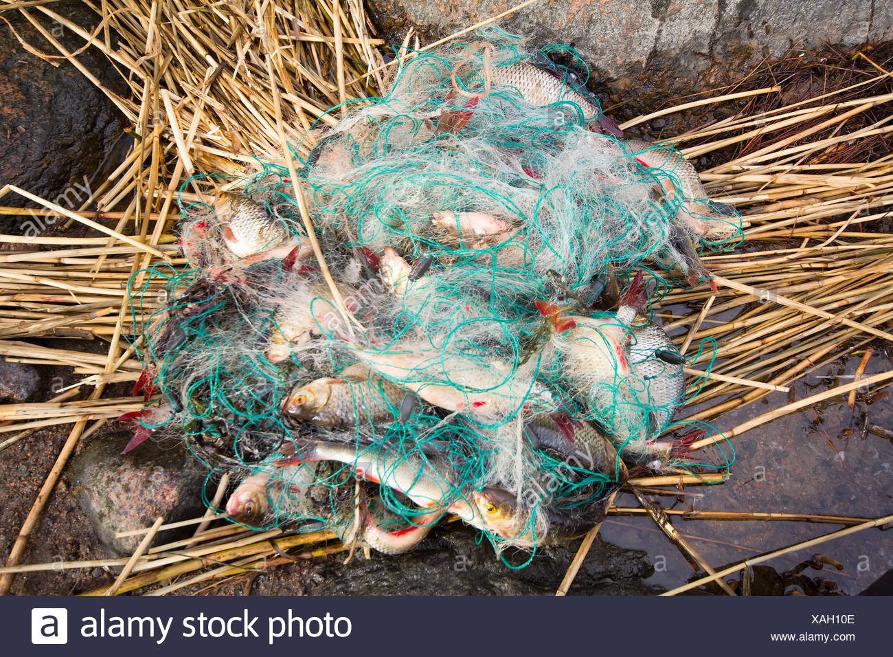 Full Line High Resolution Stock Photography and Images - Alamy