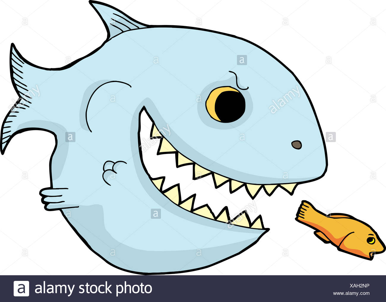 Grinning Fish High Resolution Stock Photography and Images - Alamy