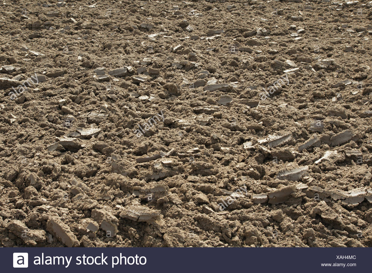 Loamy Soil Stock Photos & Loamy Soil Stock Images - Alamy