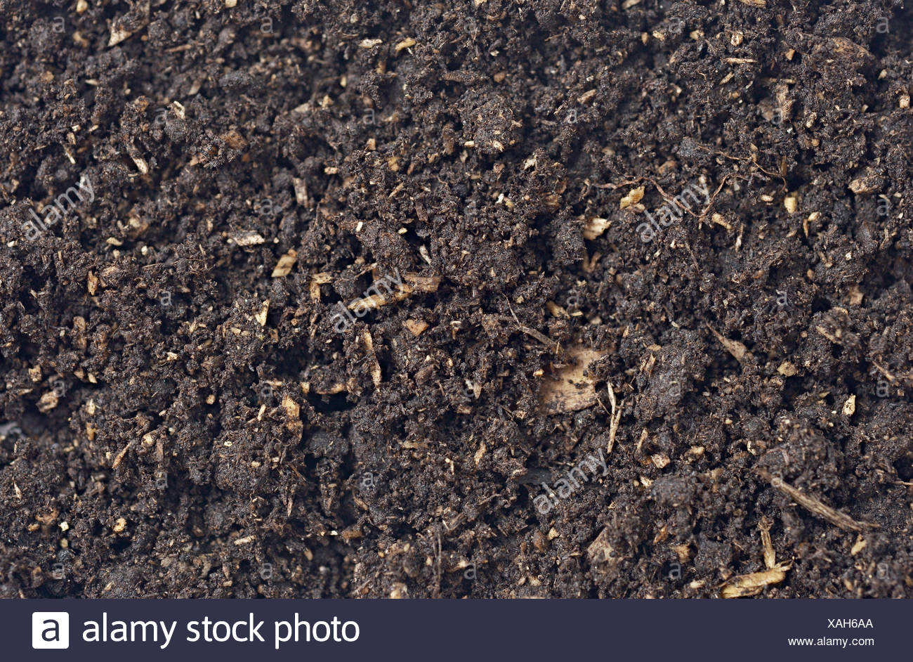 Cultivated Field Wet Soil Stock Photos & Cultivated Field Wet Soil ...