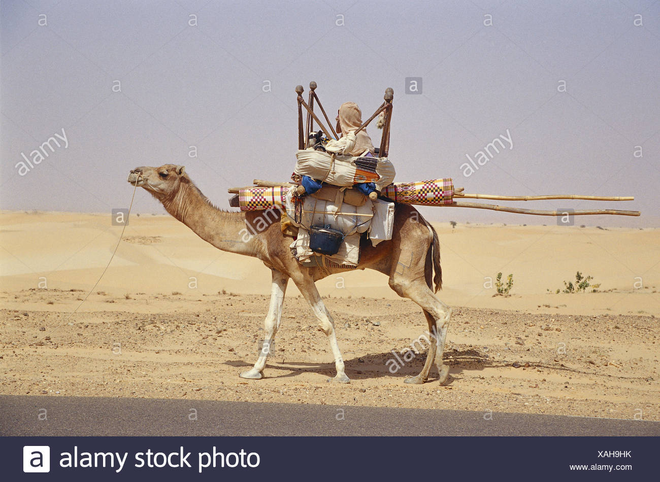 Charge African High Resolution Stock Photography and Images - Alamy