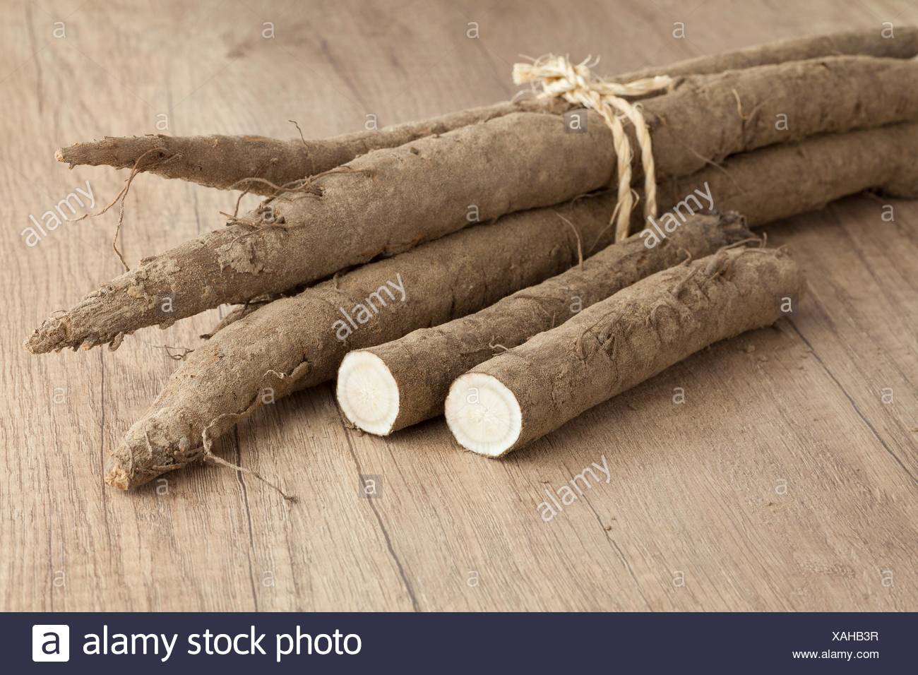Taproot Stock Photos & Taproot Stock Images - Alamy
