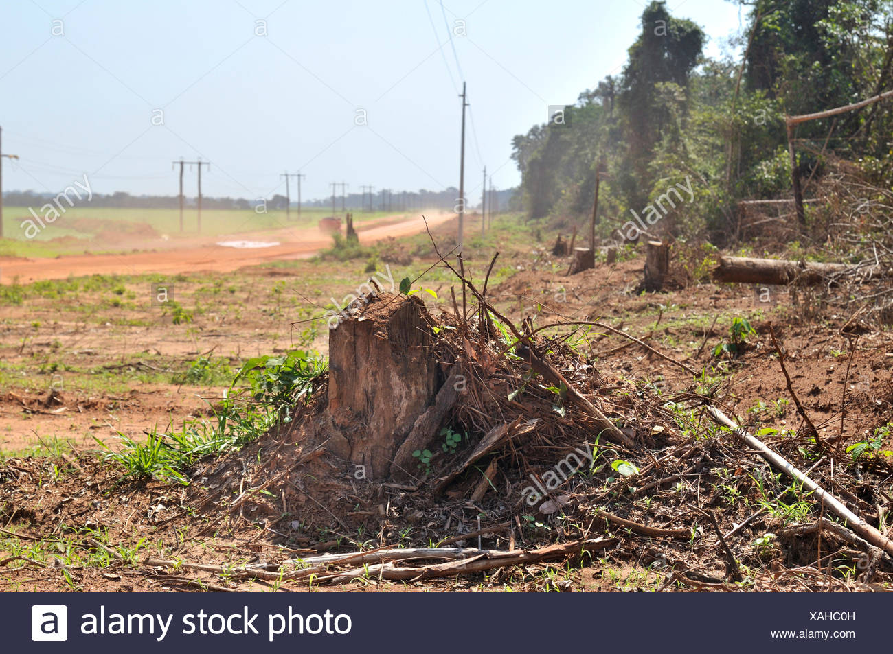 Amazon Rainforest Deforestation Brazil High Resolution Stock ...