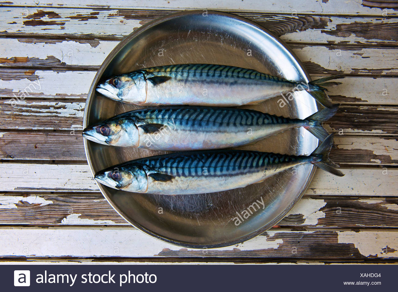 Whole Mackerel High Resolution Stock Photography and Images - Alamy