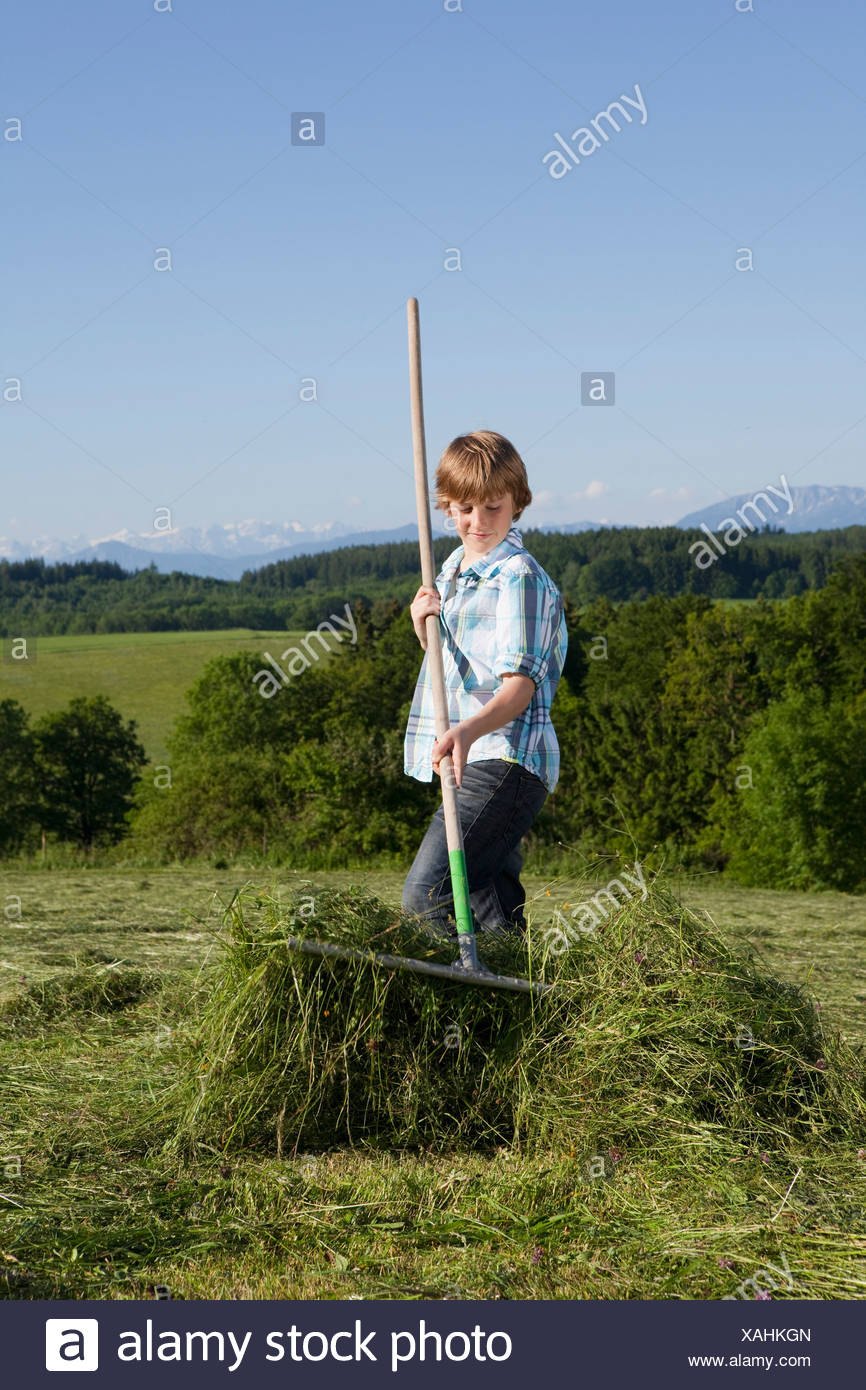 Boy Working Farm High Resolution Stock Photography and Images - Alamy