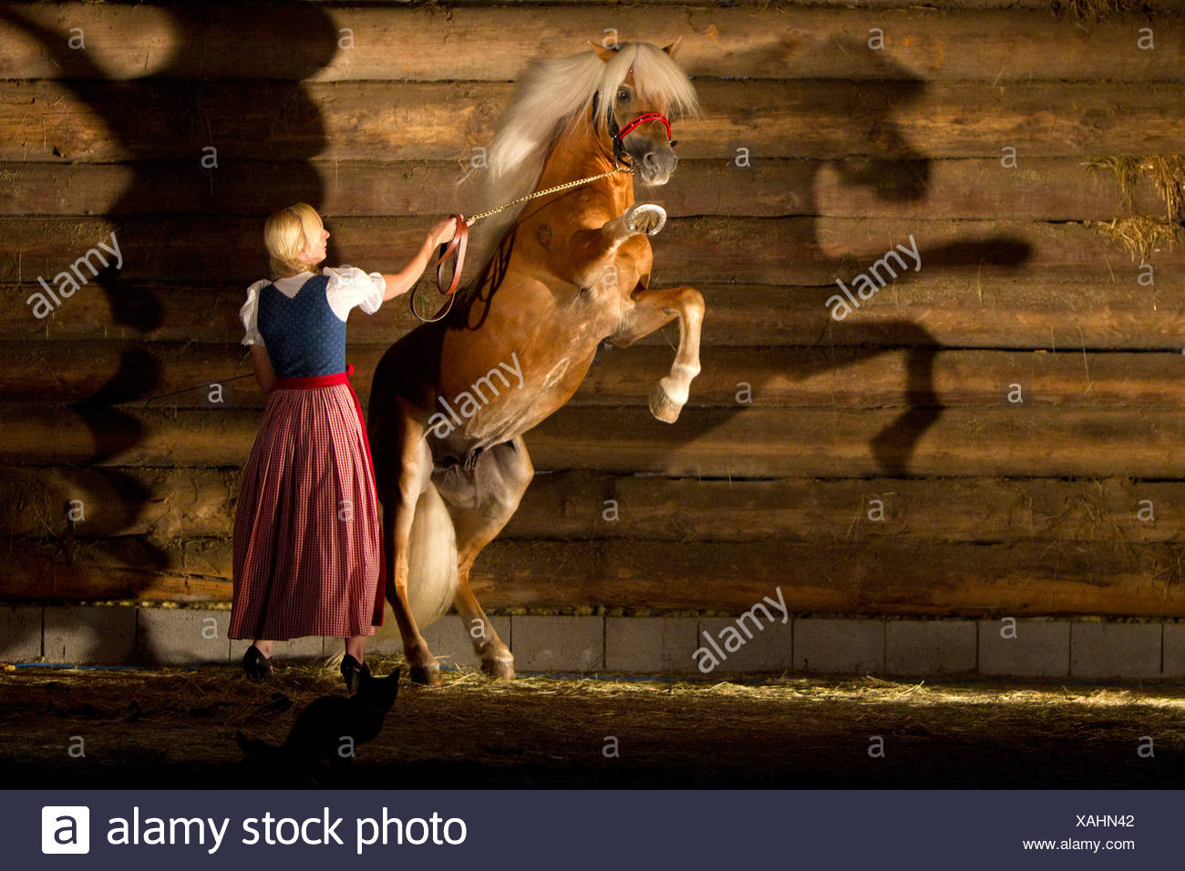 Woman Horse Rearing High Resolution Stock Photography and Images - Alamy