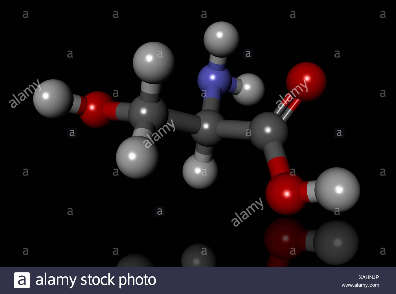Serine Stock Photos & Serine Stock Images - Alamy