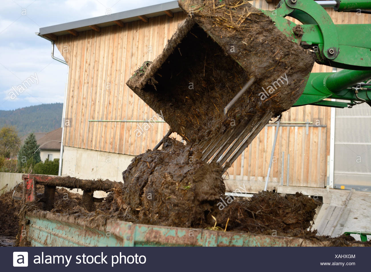 Stall Manure Stock Photos & Stall Manure Stock Images - Alamy