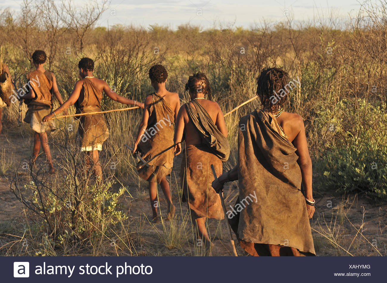 Kalahari Bushmen Stock Photos & Kalahari Bushmen Stock Images - Alamy