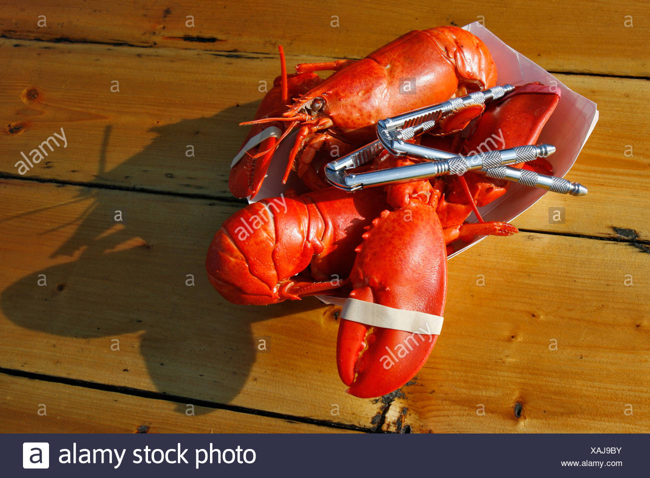 Lobster Is A Speciality High Resolution Stock Photography and Images ...