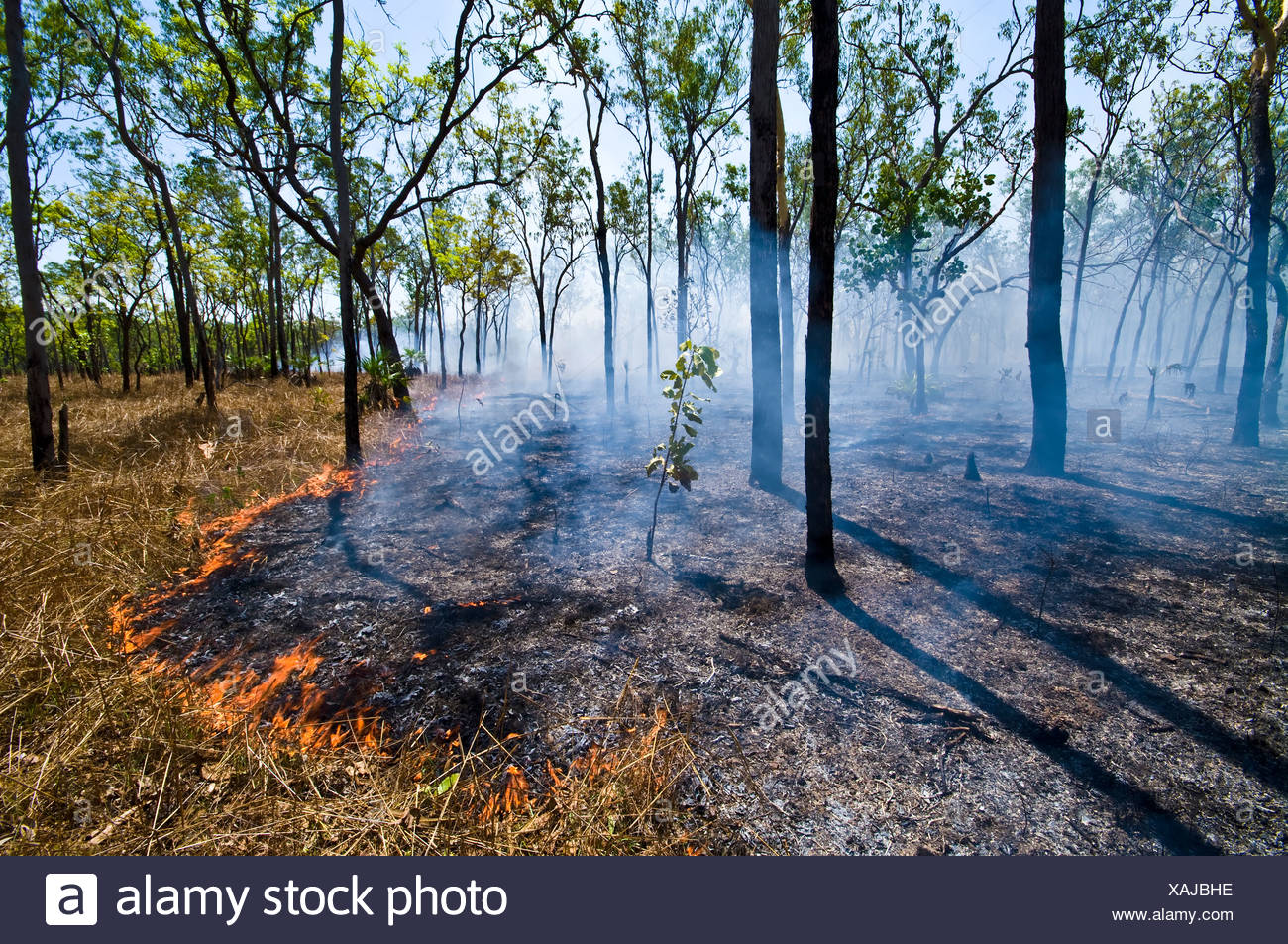 Scorched Earth Stock Photos & Scorched Earth Stock Images - Alamy