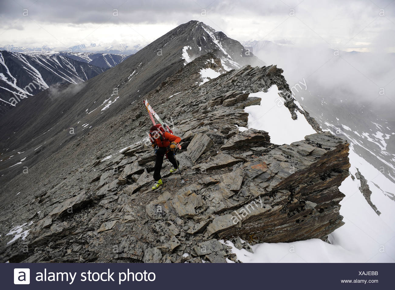 Brooks West High Resolution Stock Photography and Images - Alamy