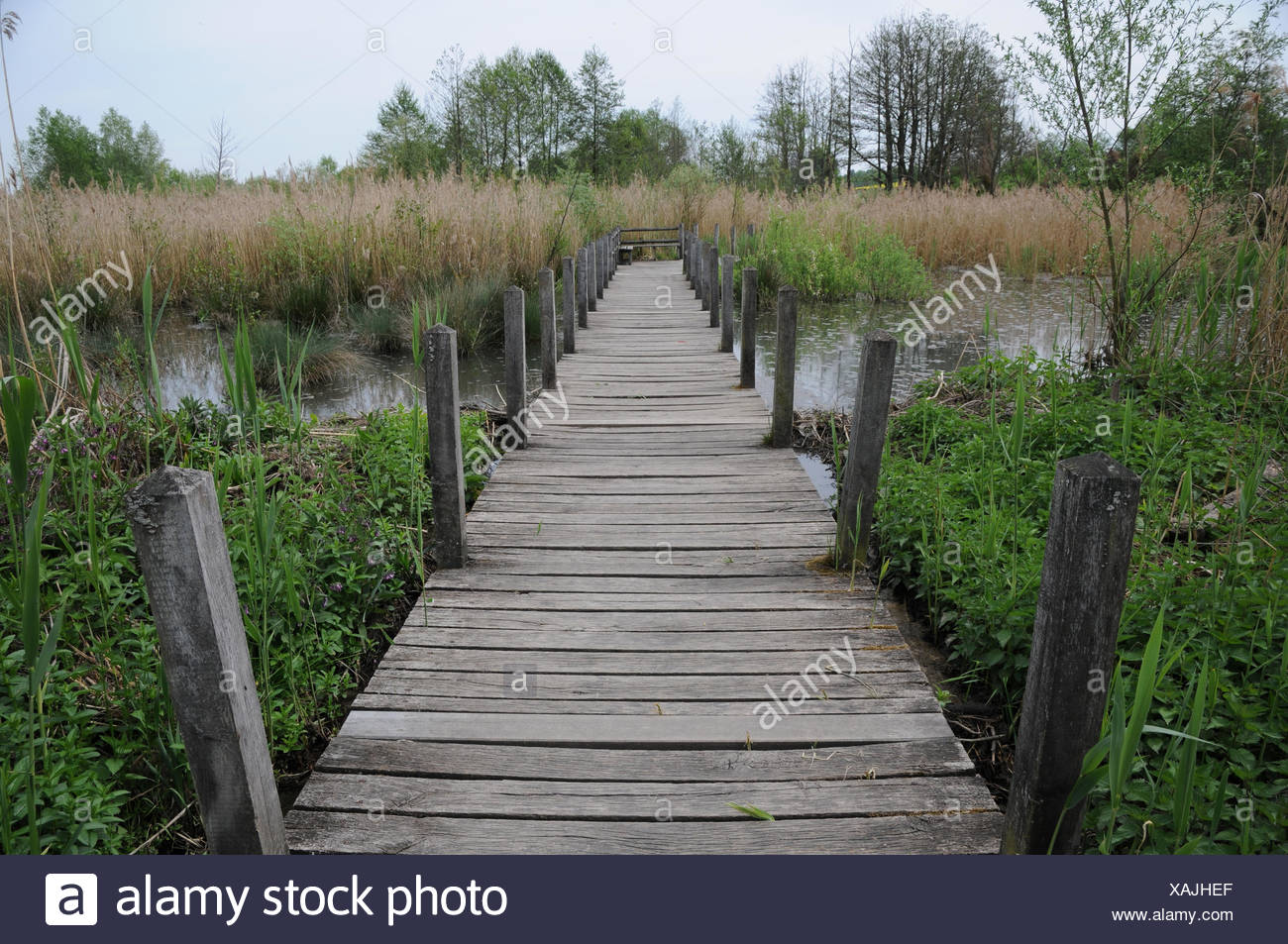 Gartenweg High Resolution Stock Photography and Images - Alamy
