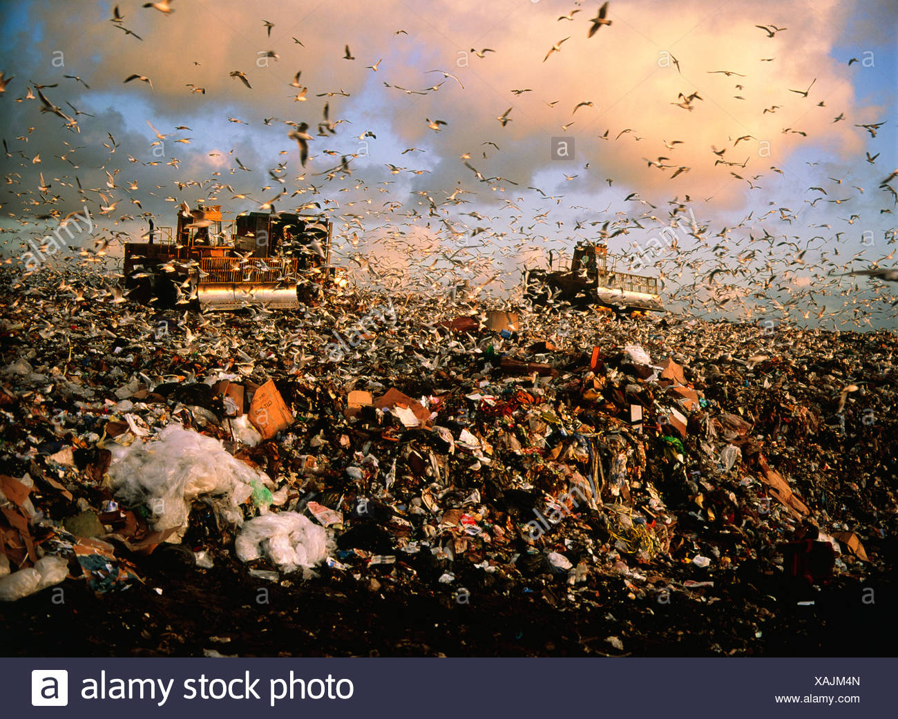 Landfill Site Stock Photos & Landfill Site Stock Images - Alamy