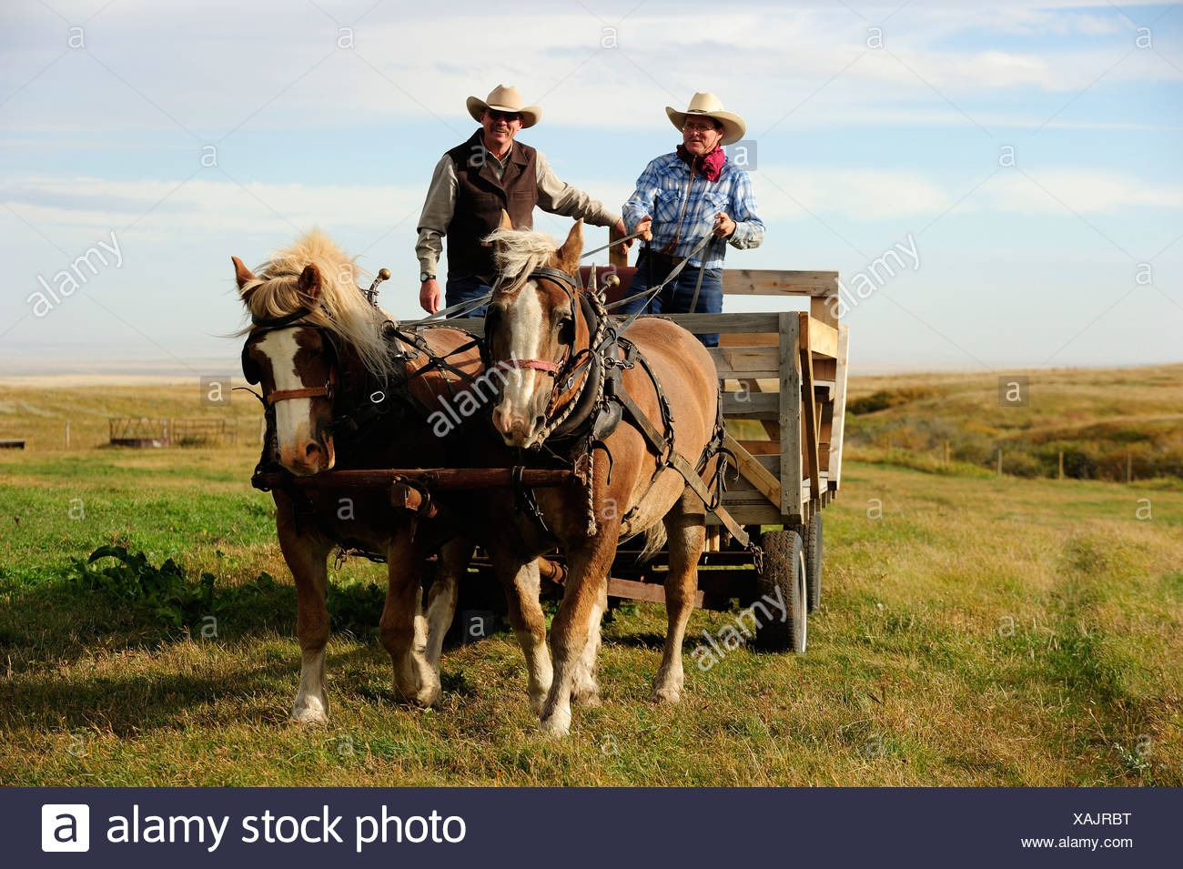 Horse Drawn Coach Carriage High Resolution Stock Photography and Images ...