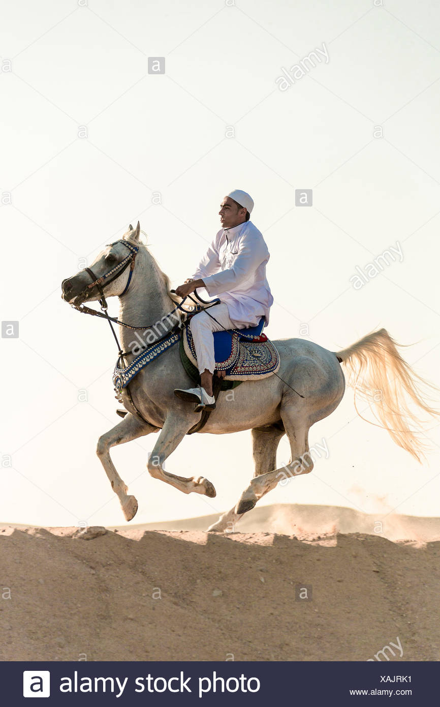 Stallio High Resolution Stock Photography and Images - Alamy