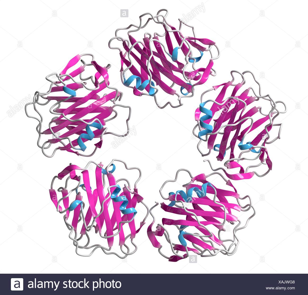 Beta Sheets Stock Photos & Beta Sheets Stock Images - Alamy