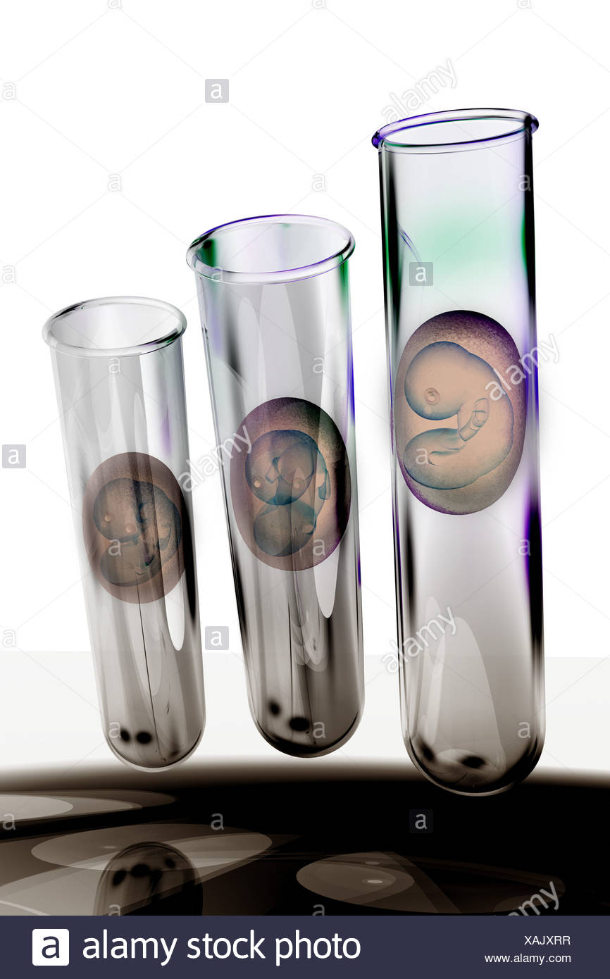 Human Reproductive Cloning High Resolution Stock Photography and Images ...