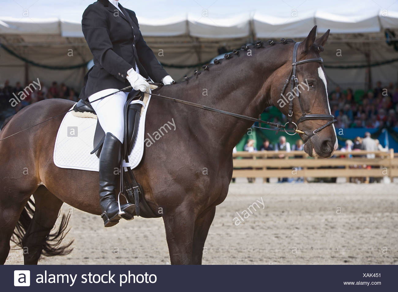 Dressage Equestrian Stock Photos & Dressage Equestrian Stock Images - Alamy